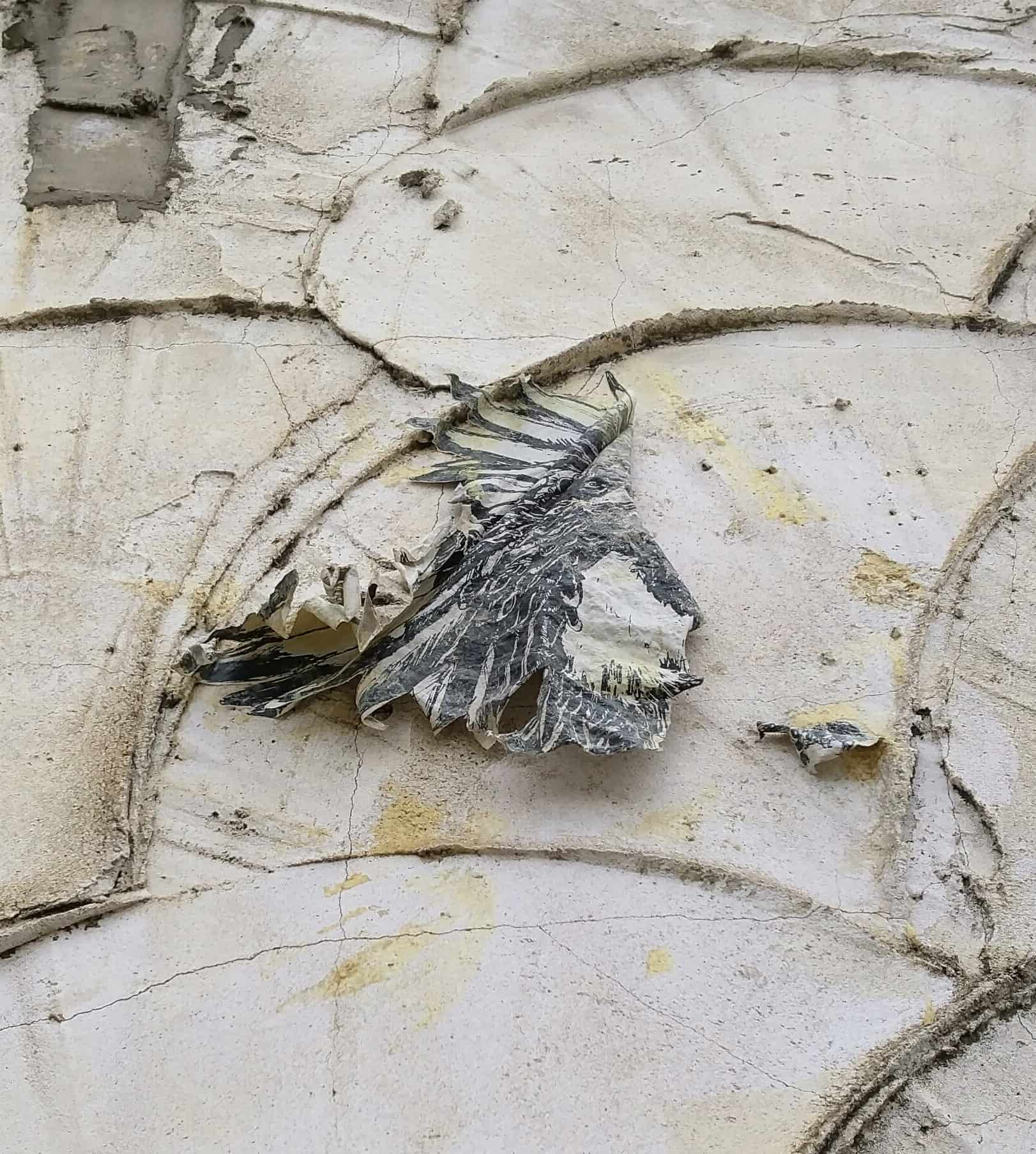 Impermanent and Perishable Art - Saskatchewan Craft Council