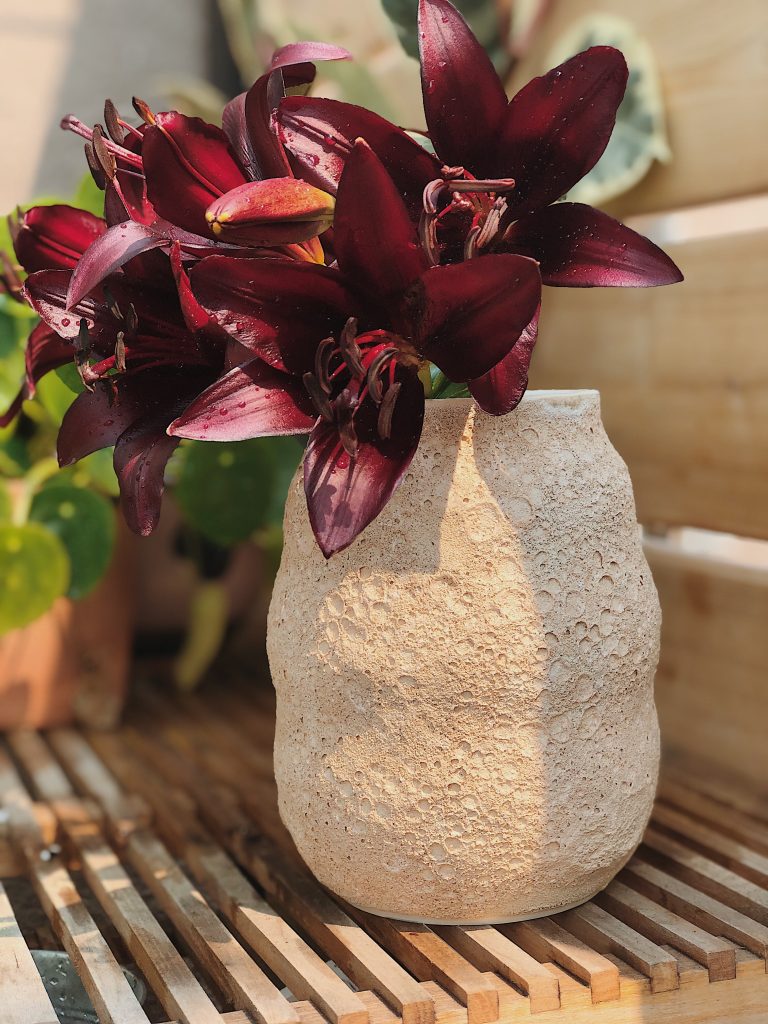 Savannah Holt - Saskatchewan Craft Council